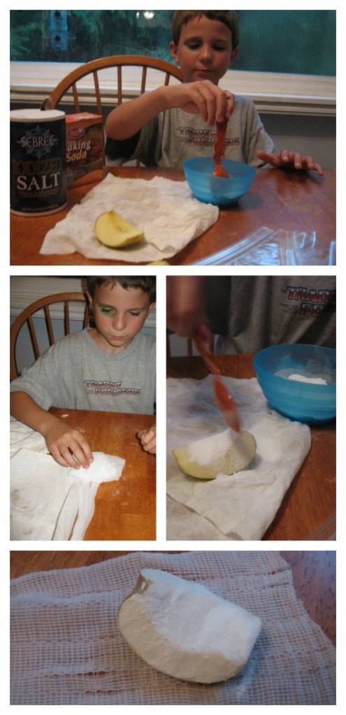 Ancient Egypt Unit Study - Walking by the Way