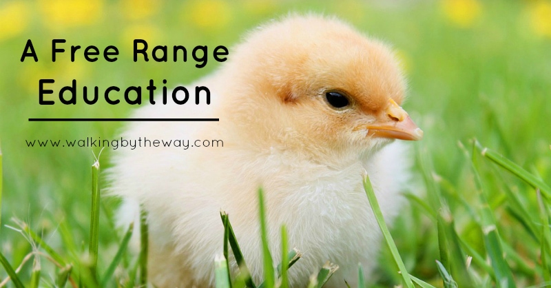 A Free Range Education Produces Curious Kids - Walking by the Way