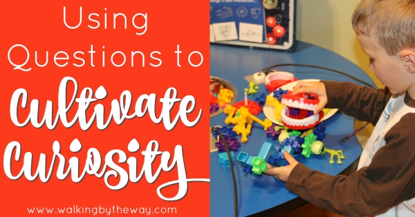 Inquisitive and Quizzed: Using Questions to Cultivate Curiosity ...