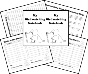 Printable Pages for Bird Observation - Walking by the Way