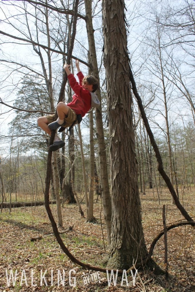 The Perfect Geography Program for a Nature Loving Kid - Walking by the Way