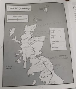 40 Fantastic Literature Fair Project Ideas - Walking by the Way