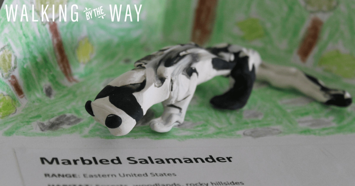 Quick and Easy Geography Fair Project - Walking by the Way