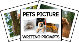 Encourage Writing with Pet Picture Writing Prompts - Walking by the Way