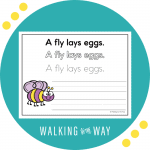 Bugs Handwriting Sentences to Copy - Walking by the Way