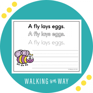 Bugs Handwriting Sentences to Copy - Walking by the Way