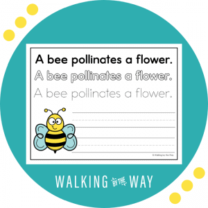 Bugs Handwriting Sentences to Copy - Walking by the Way