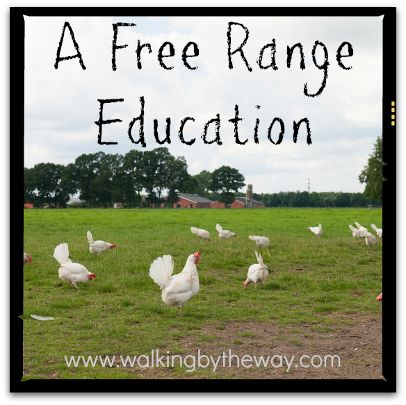 A Free Range Education Produces Curious Kids - Walking by the Way