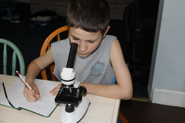 Microscope School - Walking by the Way